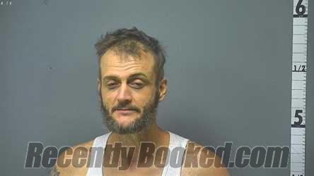 Recent Booking / Mugshot for JASON LANDON BROWN in Waynesboro County ...