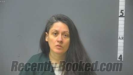 Recent Booking / Mugshot for LISA MARIE BUSH in Waynesboro County, Virginia