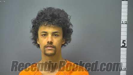 Recent Booking / Mugshot for SEBASTIAN TYREE WALLACE in Waynesboro ...