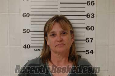 Recent Booking / Mugshot for MISTY PAULETTE BANE in Henderson County, Texas