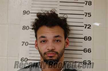 Recent Booking / Mugshot for AARON LEE BRONSON COFER in Henderson ...