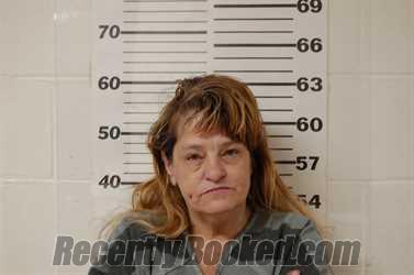 Recent Booking / Mugshot for MELONY DANYELL HOUSTON in Henderson County ...