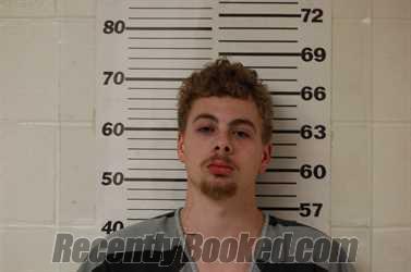 Recent Booking / Mugshot for AUSTIN TAYLOR TOMLIN in Henderson County ...