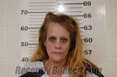 Recent Booking / Mugshot for JENNIFER MARIE SLADE in Henderson County ...