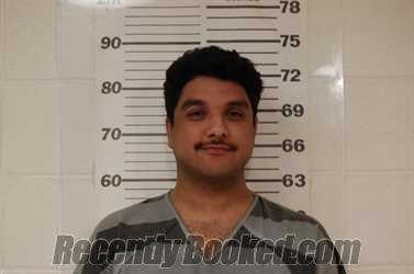 Recent Booking / Mugshot for SHAN SYED ALI in Henderson County, Texas
