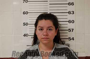 Recent Booking / Mugshot for VICTORIA LYNN HAYNES in Henderson County ...