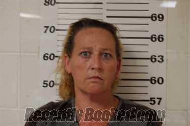 Recent Booking / Mugshot for APRIL ELIZABETH BURGETT in Henderson ...