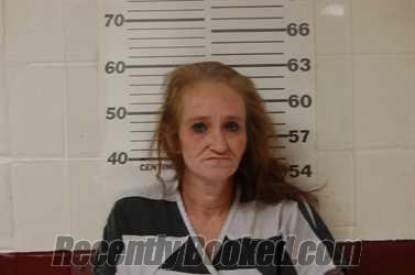Recent Booking / Mugshot for AUTUMN OLENE JOHNSON in Henderson County ...