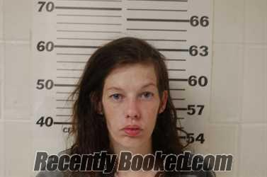 Recent Booking / Mugshot for BRITTANY ELAINE DAVIS in Henderson County ...