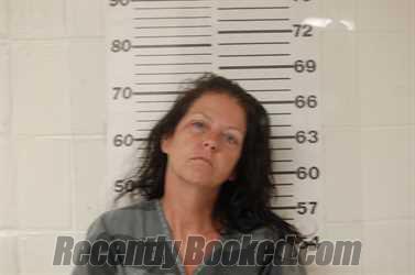 Recent Booking / Mugshot for AMANDA ANN-ETTE BENNER in Henderson County ...