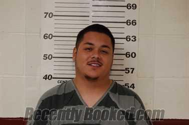 Recent Booking / Mugshot for LUKE JOHN PATRICK FOSHEE in Henderson ...