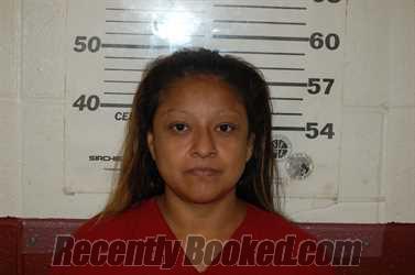 Recent Booking / Mugshot for JENNIFER BOCANEGRA-CASTILLO in Henderson ...