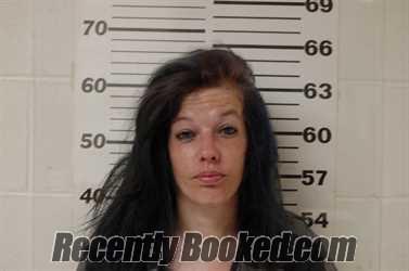 Recent Booking / Mugshot for BRITTANY ELAINE DAVIS in Henderson County ...