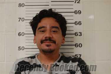 Recent Booking / Mugshot for JESUS DAVID GARZA in Henderson County, Texas