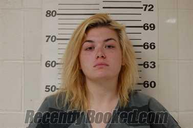 Recent Booking / Mugshot for ALYSON MICHELLE HENSON in Henderson County ...