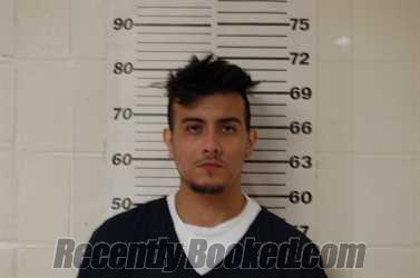 Recent Booking / Mugshot for BRIAN KEITH HARRIS in Henderson County, Texas