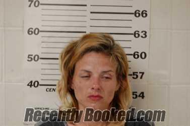 Recent Booking / Mugshot for DENA RENEE HILTON in Henderson County, Texas