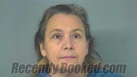 Recent Booking / Mugshot for CARI LYNN BROWN in Williamsburg County ...