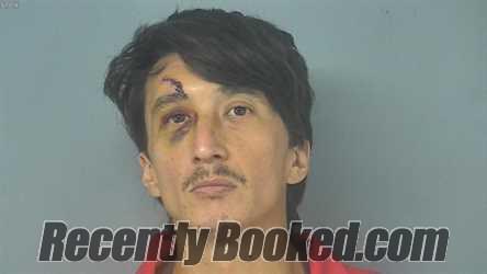 Recent Booking / Mugshot for MICHAEL JOHN BELLIVEAU in Williamsburg ...