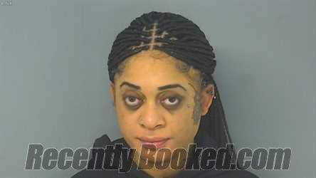 Recent Booking / Mugshot for MAYA MICHELLE LEE in Williamsburg County ...