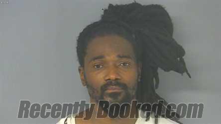 Recent Booking / Mugshot for MICHAEL DWAYNE PALMER in Williamsburg ...