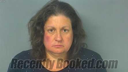 Recent Booking / Mugshot for SARA CALI LENIHAN in Williamsburg County ...