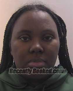 Recent Booking / Mugshot for Michelle Nicole Whitfield in Chesapeake ...