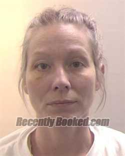 Recent Booking / Mugshot for Megan Nicole Corley in Chesapeake County ...