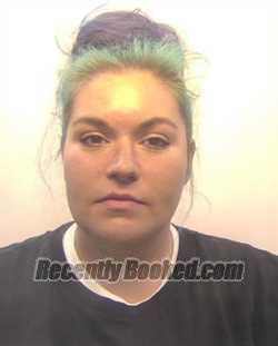 Recent Booking / Mugshot for Brigette Michelle Brown in Chesapeake ...