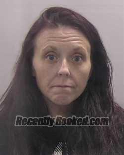 Recent Booking / Mugshot for Melissa Megan McNamee in Chesapeake County ...