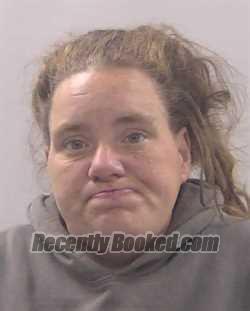Recent Booking / Mugshot for Susan Munn Perkins in Chesapeake County ...