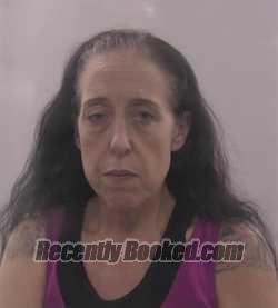 Amanda Lucette Deese Arrest Record & Booking Info – Chesapeake County ...