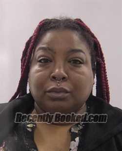 Recent Booking / Mugshot for Sabrina Nicole Carson in Chesapeake County ...