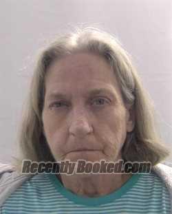 Recent Booking / Mugshot for Pamela Sue Clements in Chesapeake County ...