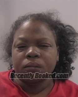 Recent Booking / Mugshot for Robin Renee Lewis in Chesapeake County, Virginia