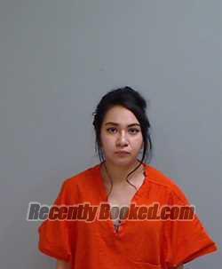 Recent Booking / Mugshot for SASHA ELENA RAMIREZ in Hidalgo County, Texas