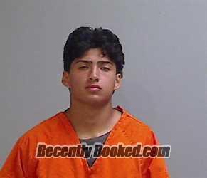 Recent Booking / Mugshot for ROBERT MEDINA in Hidalgo County, Texas
