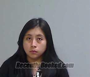 Recent Booking / Mugshot for MARTHA LIZETH TELLO in Hidalgo County, Texas