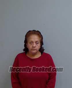 Recent Booking / Mugshot for DOLORES RENEE CASTILLO in Hidalgo County ...