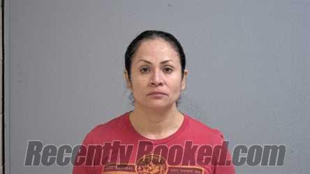 Recent Booking / Mugshot for MAYRA CASTILLO in Hidalgo County, Texas