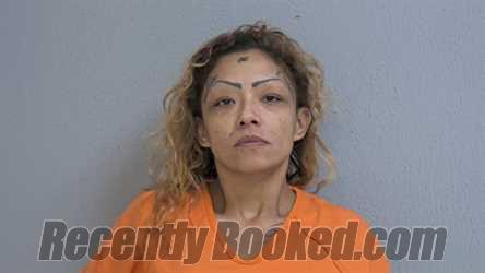 Recent Booking / Mugshot for ANAISA DANIELLE SORIANO in Hidalgo County ...