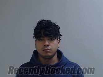 Recent Booking / Mugshot for ANDI MOLINA HERNANDEZ in Hidalgo County, Texas