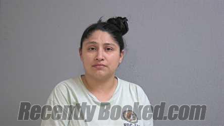 Recent Booking / Mugshot for MARIA ISABEL VEGA in Hidalgo County, Texas