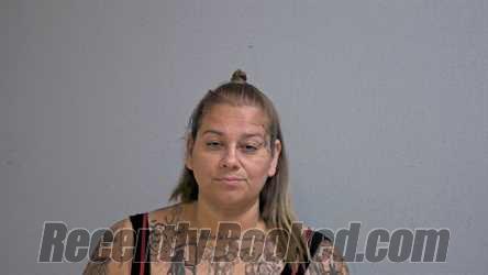 Recent Booking / Mugshot for MIRNA CASTILLO in Hidalgo County, Texas