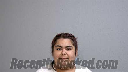 Recent Booking / Mugshot for JANETTE GARZA in Hidalgo County, Texas