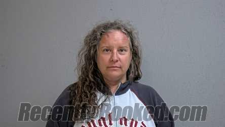 Recent Booking / Mugshot for SARAH MARY FEARNLEY in Hidalgo County, Texas