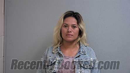Recent Booking / Mugshot for DIANA EULER in Hidalgo County, Texas
