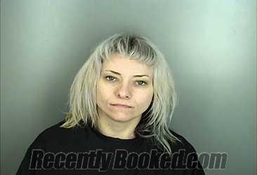Recent Booking / Mugshot for ELIZABETH GAIL FALLAW in Greenwood County ...