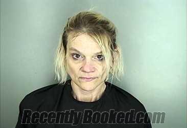 Recent Booking / Mugshot for KELLY BROOKE HAMILTON in Greenwood County ...