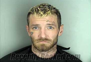 Recent Booking / Mugshot for MATTHEW SEAN BRINKER in Greenwood County ...